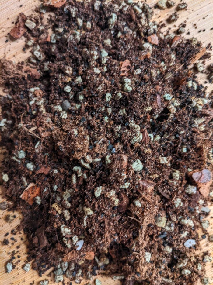 Terrarium Substrate – EcoTreasures